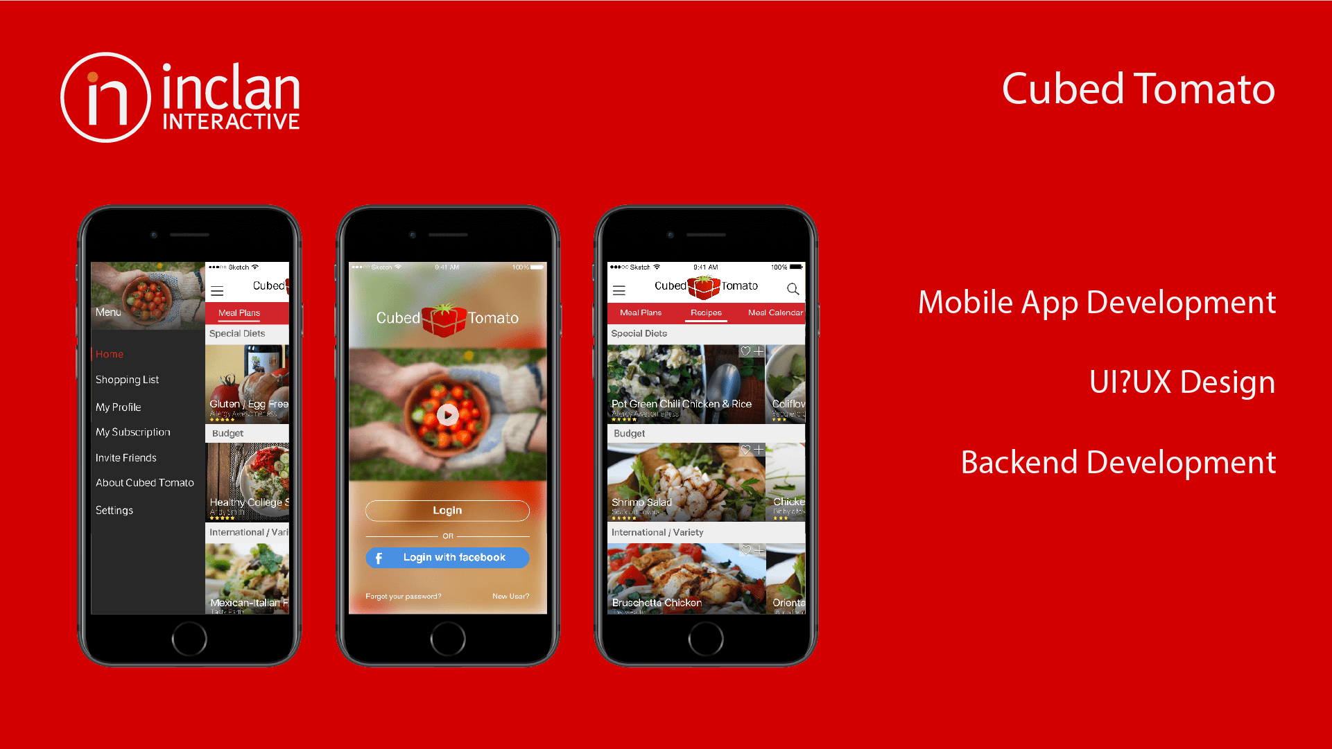 Cubed Tomato - Software Rescue 180